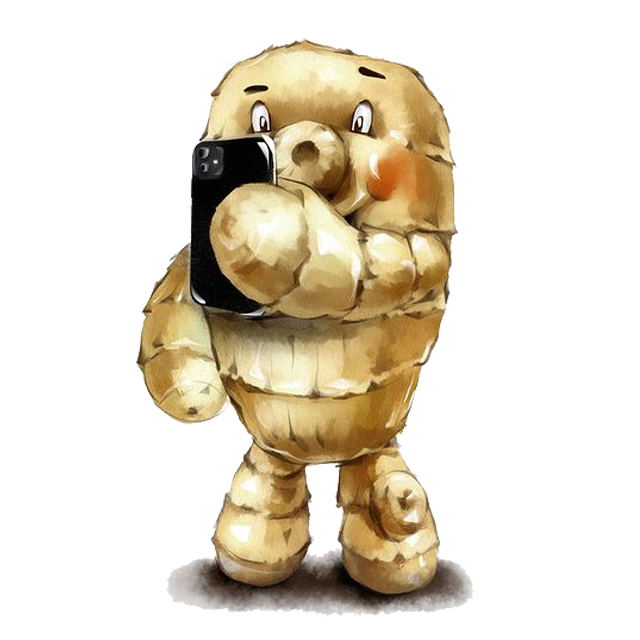 Social Media - The Ginger People EU