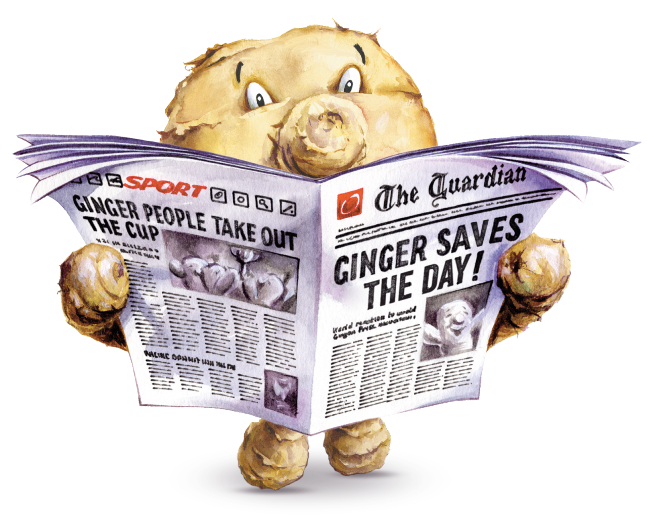 Ginger Products - The Ginger People EU
